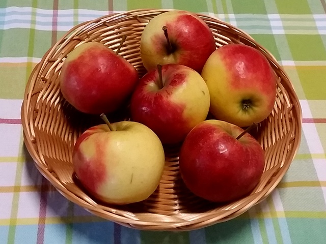 Apfel Elstar ® kaufen Sie günstig beim Pflanzenhandel.